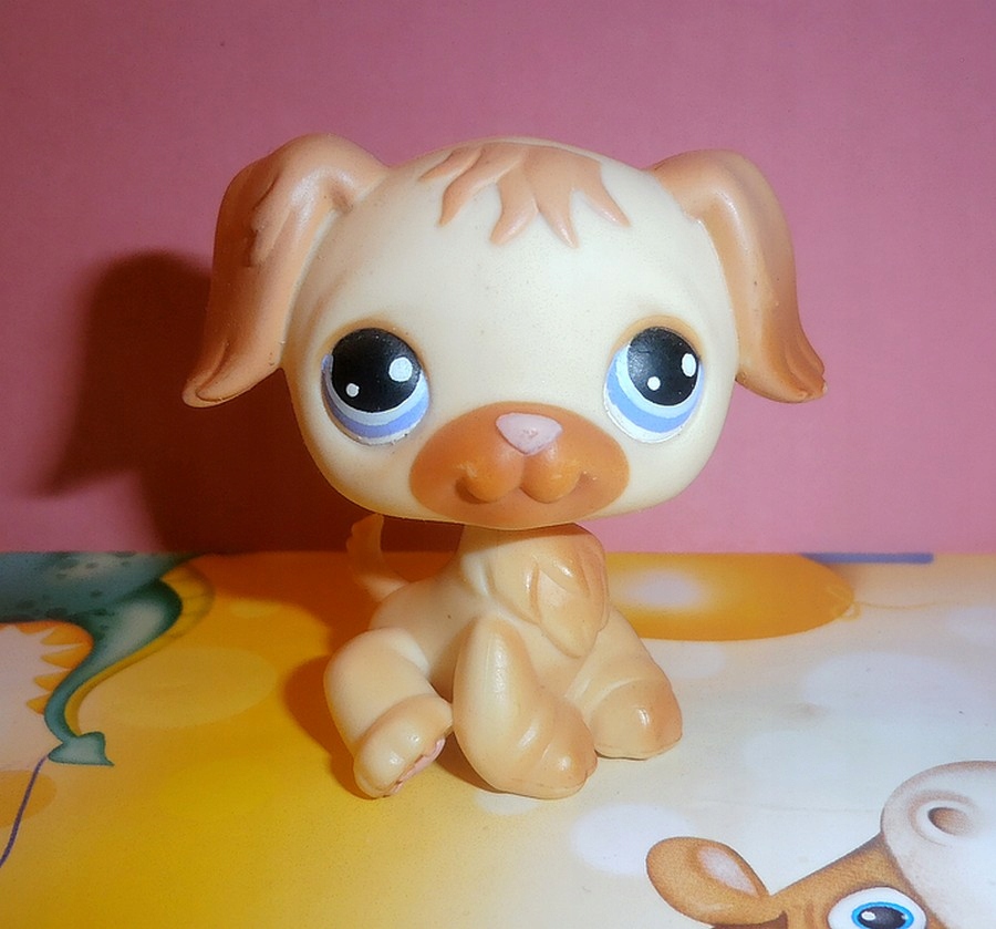 Littlest Pet Shop piesek golden retriever pies LPS - 7449183686 ...