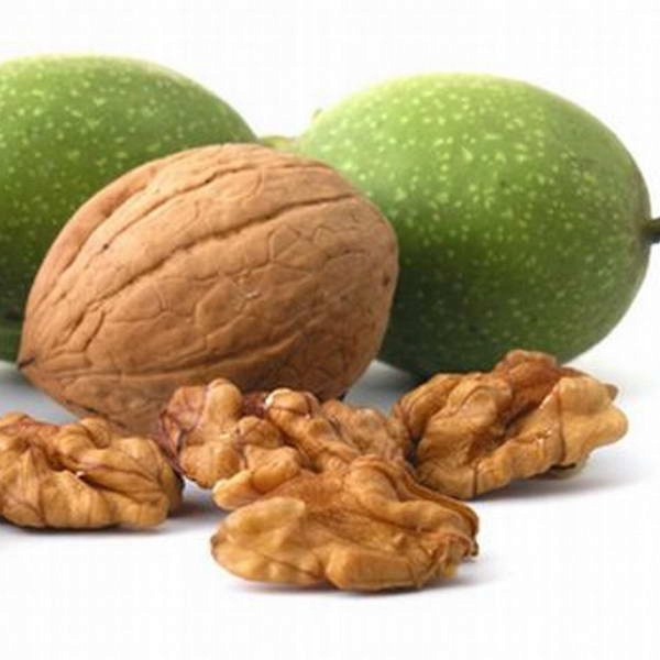 ORZECH WŁOSKI JACEK DUŻE ORZECHY - 7553700386 - oficjalne archiwum Allegro